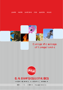 Full Details of Inani Stones - Ita Gold