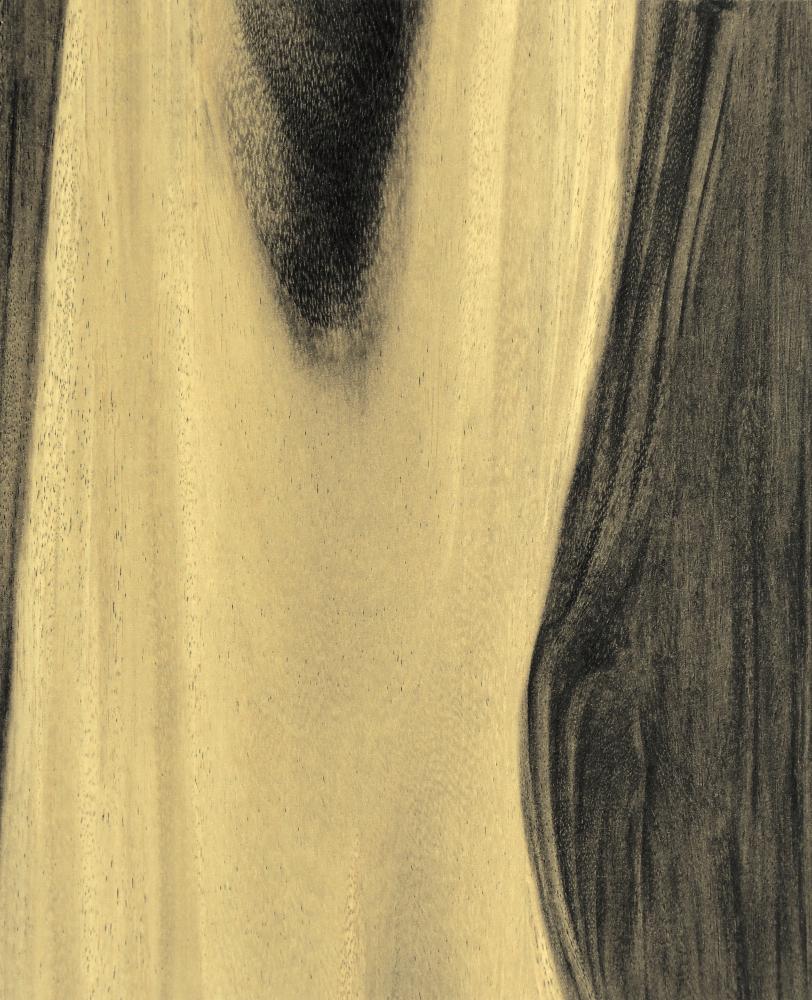 Full Details of Bloom Essentia Laminates - Eotic Veneer