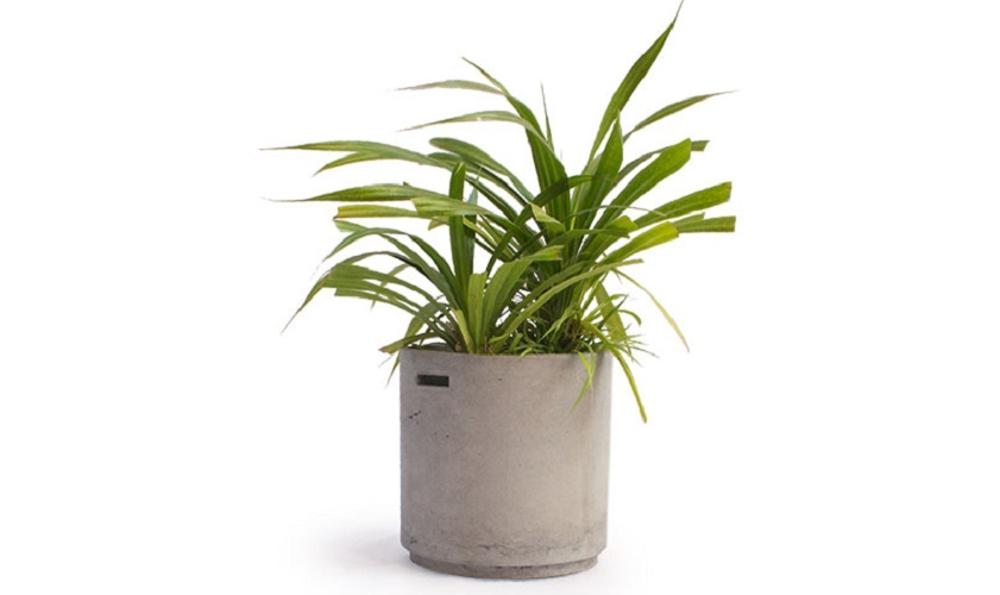Full Details of Artemis Exterior Decor Elements - Cylinder Planter