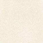 Full Details of Exxaro Prima – 600x600mm Tiles - Miracle Milky White